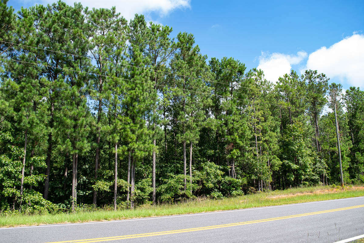 2.8 Acres With Beautiful Pines and Country Solitude Near Macon, GA ...
