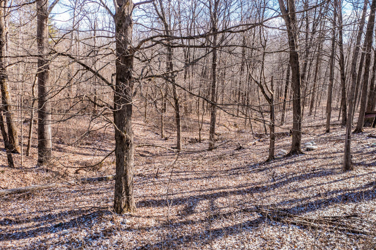 3.5 Acres of Hardwood Trees and a Pond in the Country Near Spencer, IN ...